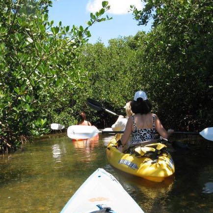 2 Hour SUP Rental - Curry Hammock State Park